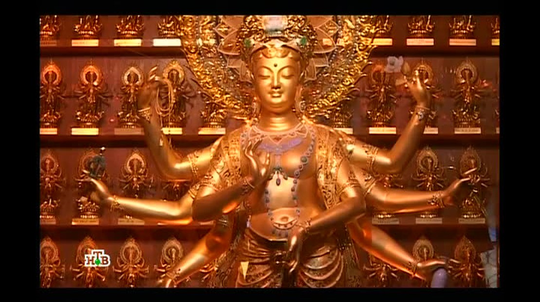 Их нравы. 210 выпуск. Китай, Словения, Швейцария передача 2008 год животные, природа ...