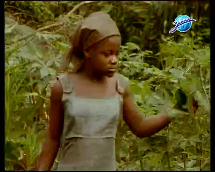 Смотреть "Путешествие в царство природы. Гориллы из долин Мбини" онлайн. Dокументальный фильм ...