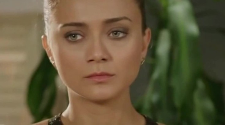 Смотреть "История одной любви. 17 серия" онлайн. Сериал - eTVnet