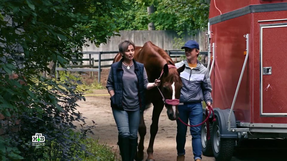 Гений. 16 серия сериал 2019 год криминальный Россия смотреть в HD качестве - русское ТВ eTVnet