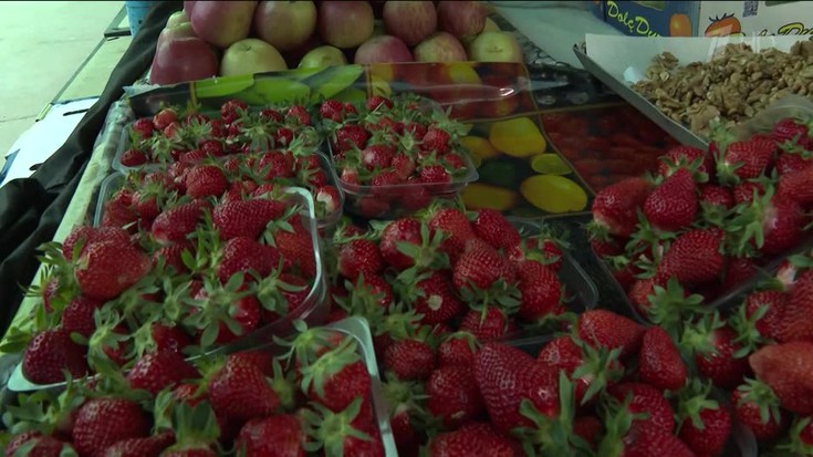 Смотреть "Время" онлайн от 03/10/2022. Новости - eTVnet