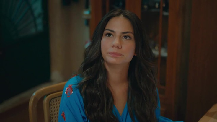 Смотреть "Мой дом. 44 серия" онлайн. Сериал - eTVnet