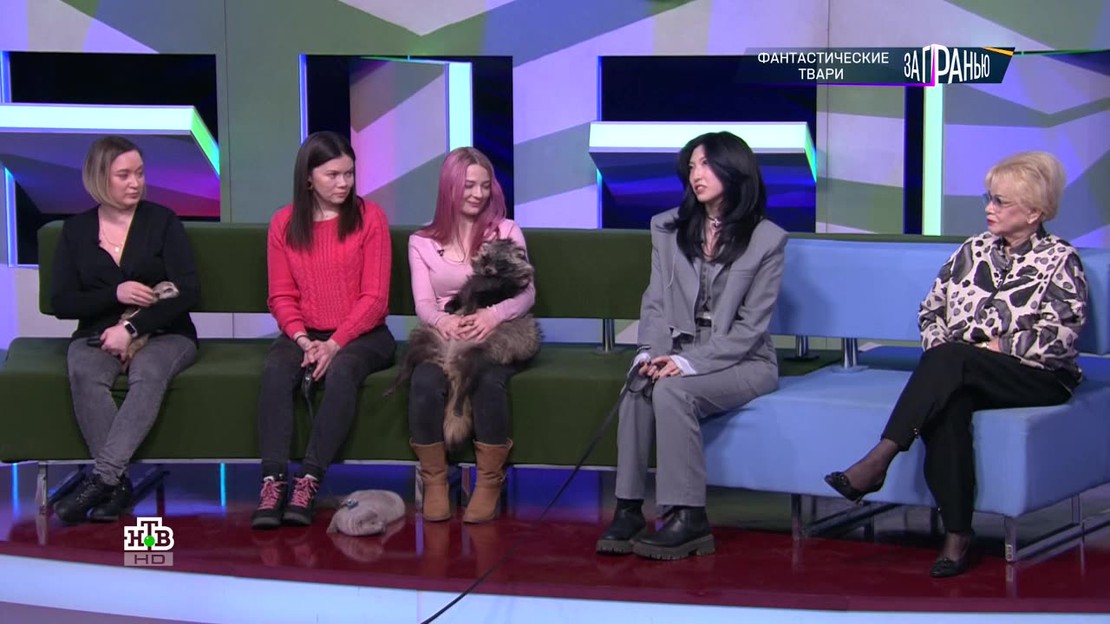 За гранью. Фантастические твари передача 2025 год телешоу Россия смотреть онлайн в HD качестве ...